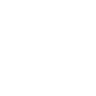 #1 Banana Bread Mix in the Market | GoNanas – GoNanas